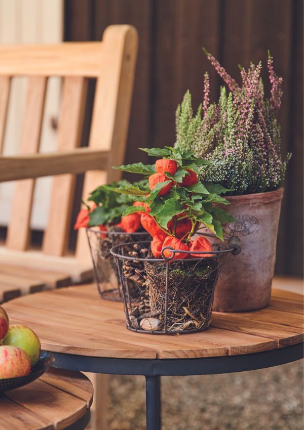 Indian Summer Deko - Farbenfrohe Ideen für Ihre Terrasse