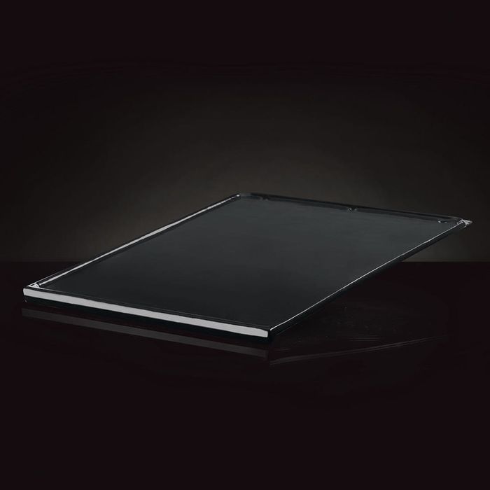 Napoleon Prestige BILEX und PRO 605 Gussplatte | Garten und Freizeit